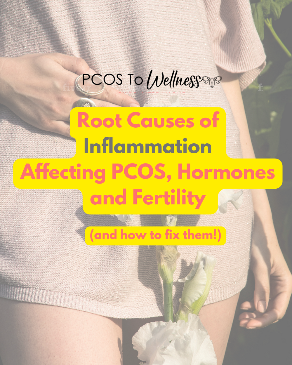PCOS to Wellness | PCOS Advice for Healing Your Condition Naturally ...